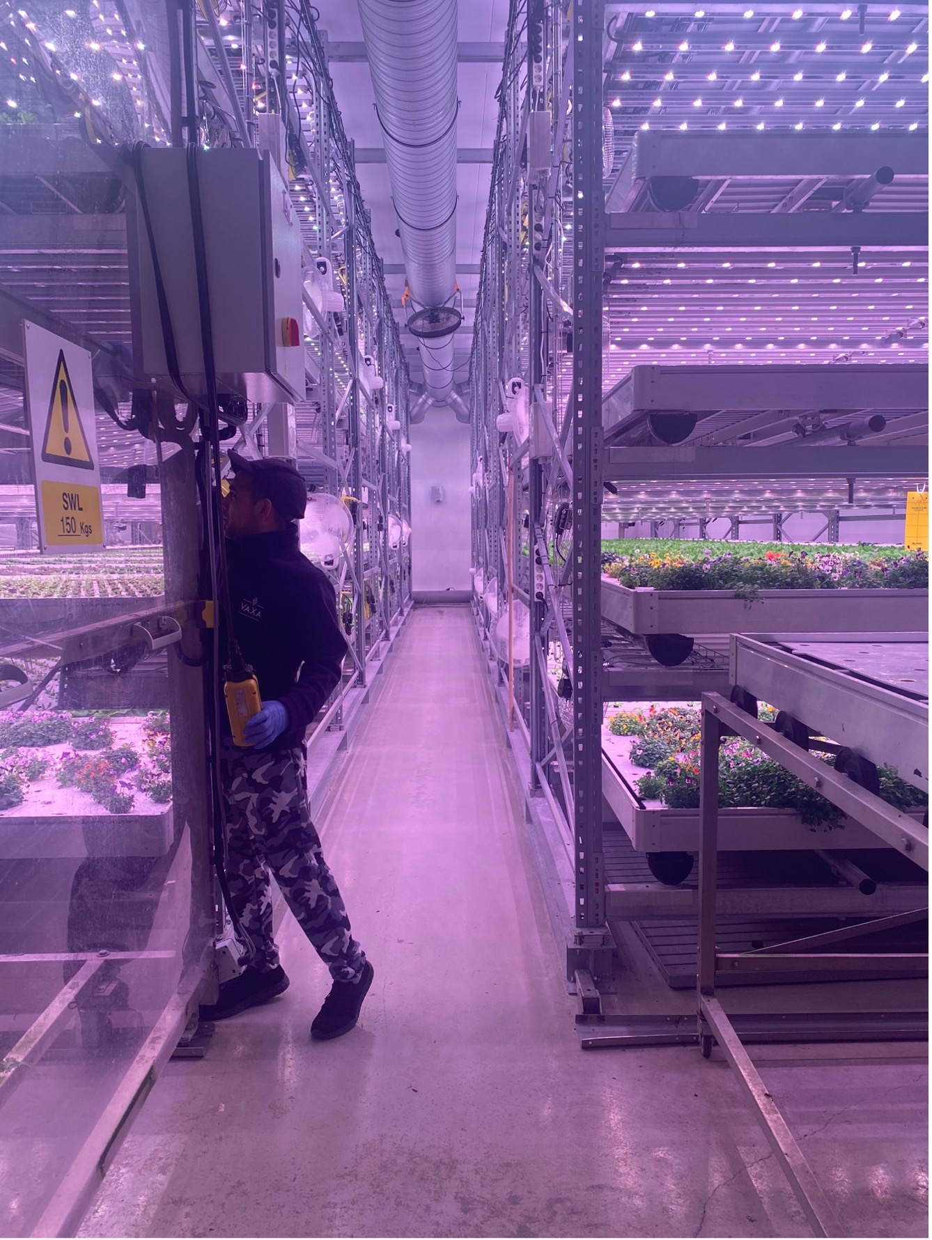 Small but mighty – Iceland, Leader in Sustainable technologies ...